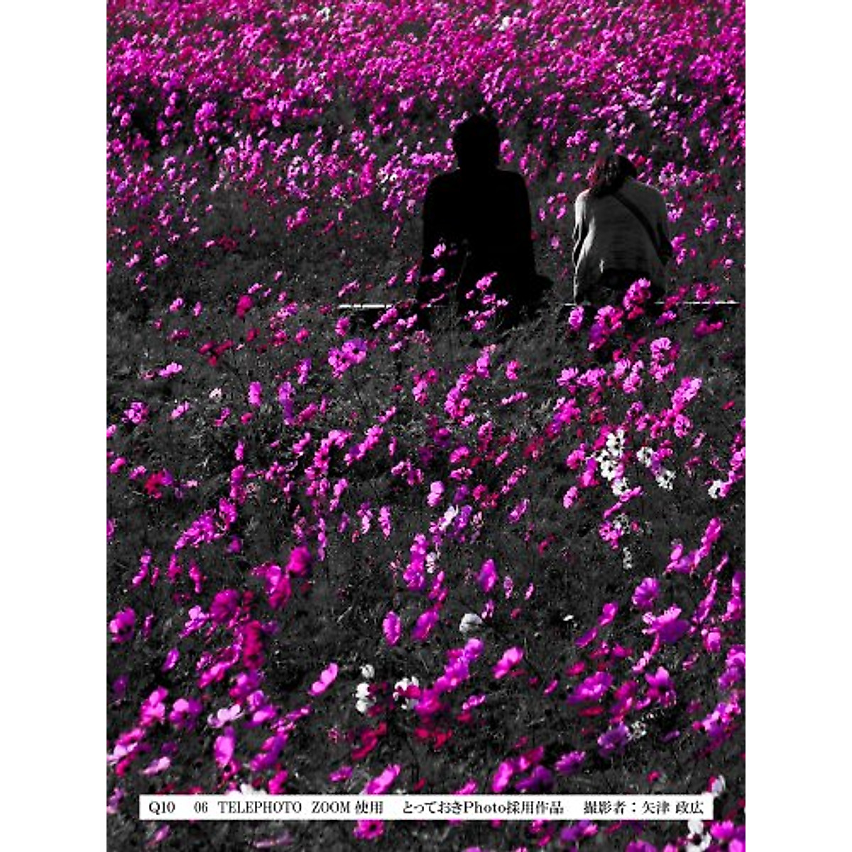 PENTAX digital SLR camera Q10 double zoom Kit silver Q10 WZOOMKIT SILVER [International Version, No Warranty]