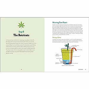 Indoor Grow Room for Beginners: A Step-By-Step Guide to Growing Marijuana