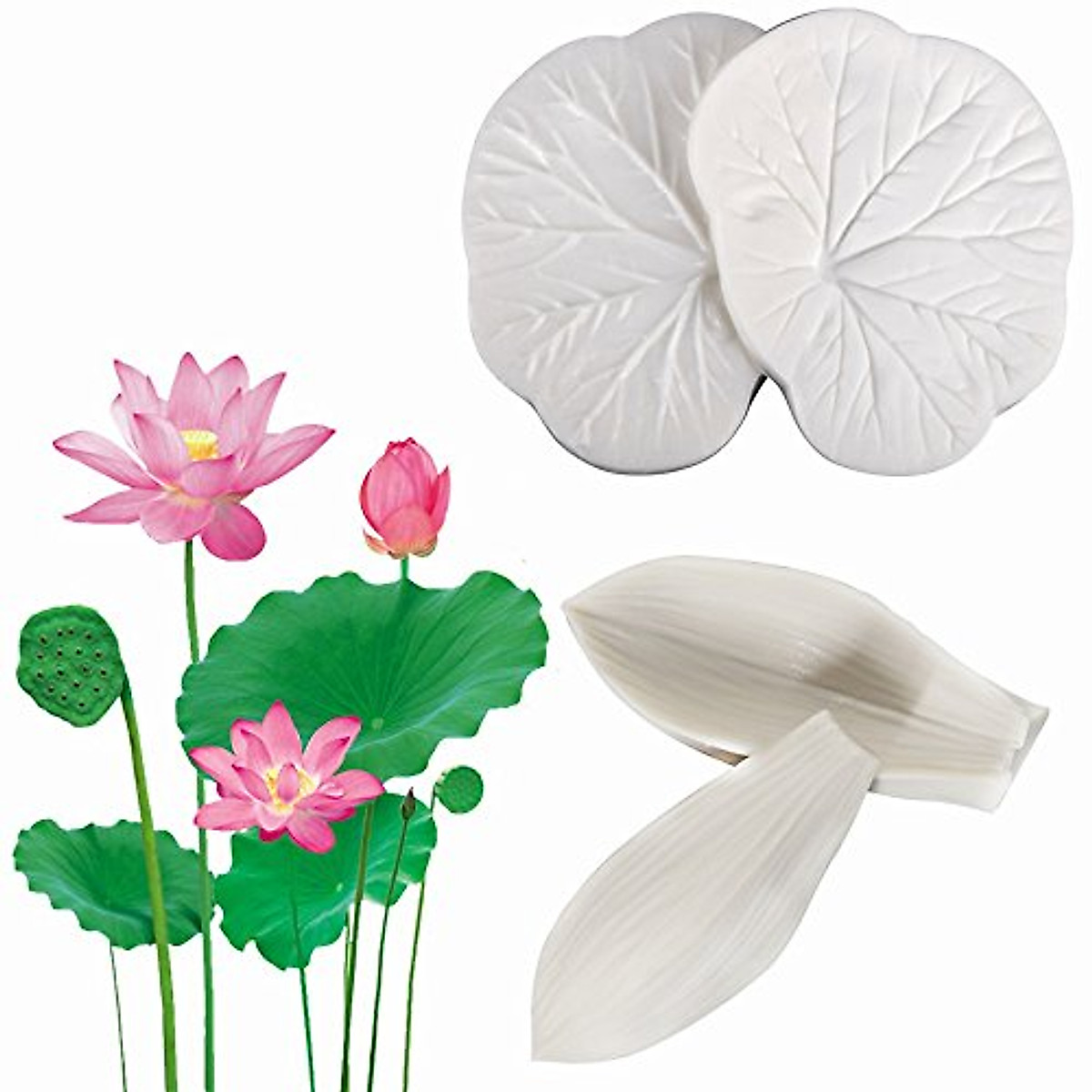 AK ART KITCHENWARE Lotus Leaf & Petal Veiners Gum Paste Flower Craft Mold for Fondant Cake Decorating Supplies Pastry Baking Tools VM097&VM147