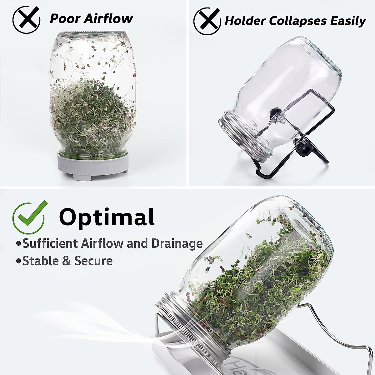 Complete Sprouting Jar Kit- 2 Wide Mouth Mason Jars with Premium 316 Stainless Steel Screen Lids, Blackout Sleeves,Tray, Stand - Seed Sprouter Set for Growing Broccoli, Alfalfa, Salad, Sandwich