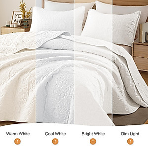 Whale Flotilla 3 Piece Queen Size Quilt Set, Soft Reversible Embossed Queen Quilts Bedding Set, Lightweight Bedspreads Coverlets with Boho Pattern for All Seasons, White