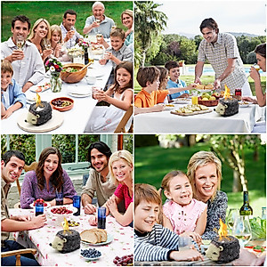 kalopar KALOPAR Tabletop Fire Pit,Concrete Mini Table Top Fire Pit, Cute Turtle and Hedgehog Personal Fireplace for Indoor and Outdoor Use., CIWEI-2