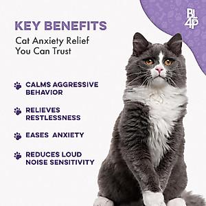 Anti Aggresion for Cats Calming Remedy - A Natural Diffuser and Cat Calming Aid for Stress, Spritefull Spraying, Scratcihng & Territorial Behavior - Non-Drowsy - 400 Odorless, Tasteless Pills