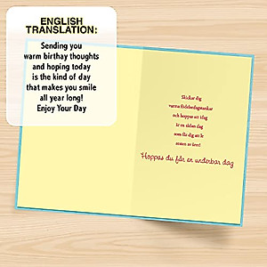 Designer Greetings Swedish Language Happy Birthday Cards, “Grattis på födelsedagen” Swedish Princess Cake Design (6 Cards with Envelopes / 6 Kort med kuvert)