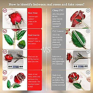 24k Gold Dipped Real Rose, for Her/Girlfriend, Forever 24k Rose with Crystal Stand, Handmade Gifts for Women Wife Mom on Valentines Day Birthday Anniversary Mother's Day