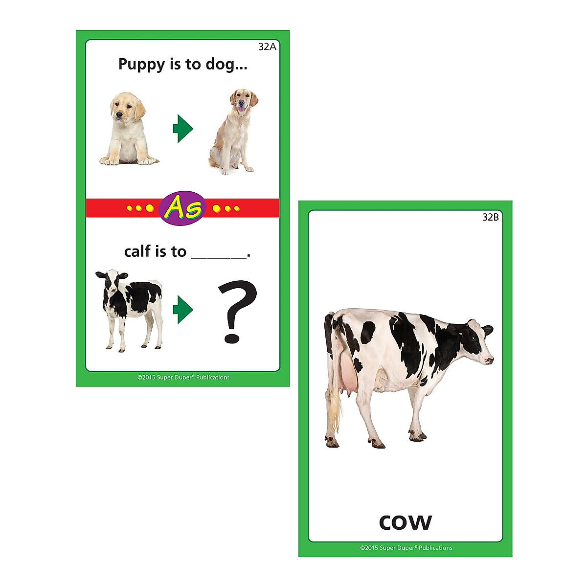 Super Duper Publications | Webber® Photo Flash Cards Analogies Early Reader | Educational Learning Resource for Children