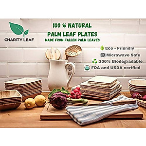 Charity Leaf Disposable Palm Leaf 12" x 10" Trays (10 pieces) Bamboo Like Serving Platters, Disposable Boards, Eco-Friendly Dinnerware For Weddings, Catering, Events