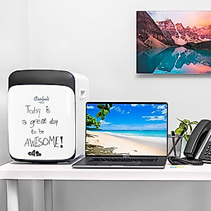 Cooluli 15L Mini Fridge for Bedroom - Car, Office Desk & College Dorm Room - 12V Portable Cooler & Warmer for Food, Drinks, Skincare, Beauty, Makeup & Cosmetics - AC/DC Small Refrigerator (White)