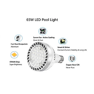 Broadroad LED Pool Light Bulb 120V 65W Daylight White 6000K Swimming Pool 6000LM Pool Light Bulb Replacement for Most Pentair Hayward Light Fixtures (Pool 65W)
