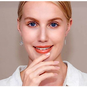 Hoops & Loops 925 Sterling Silver Puppy Dog Cat Pet Paw Print Love Heart Drop Dangle Hook Earrings for Women Men Teen Girls (Silver)