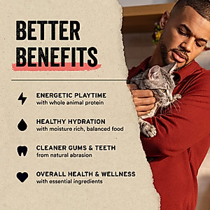 Vital Essentials Freeze Dried Raw Cat Treats, Rabbit Bites, 0.9 oz