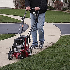 SOUTHLAND SWLE0799 79cc Walk Behind Gas Lawn Edger