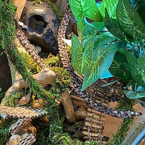 2 Pcs Reptile Vines, Bendable Reptile Plants Pet Habitat Decor with 3 Suction Cup Accessories for Climbing Chameleon Crab Lizards Snakes Gecko Frog Hermit Crab