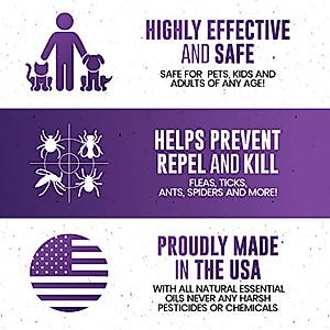 Trifecta Natural Outdoor Pest Control Spray & Backyard Insect Repellent | Kills on Contact & Repels Bugs | Natural, Non-Toxic, Plant-Based, Kids & Pet Safe | Ready to Use Yard Spray (up to 5000ft²)