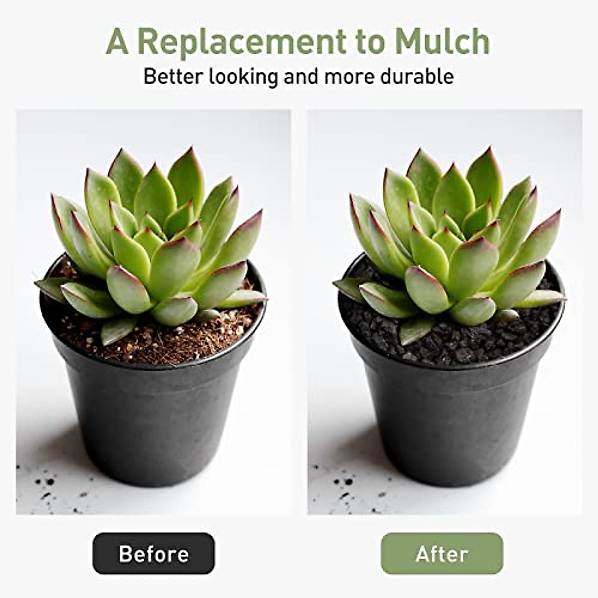 GASPRO 2.5lbs Lava Rocks for Plants, 1/5 Inch Black Gravel for Succulent, Cactus, Bonsai Tree, Pure Volcanic Rocks, Top-Dressing, Good Drainage