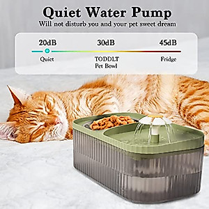 TODDLT Water Fountain for Cats Inside, Cat Feeding & Watering Supplies, Super Quiet Automatic Pet Water Dispenser 100oz/3L with Stainless Steel Cat Bowls and Long Life Span Pump