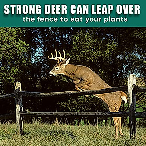 SEEKBIT 4 Pack Deer Repellent | Rabbit Repellent | Deer Rodent Chipmunk Deterrent for Tree, Plant | Deer Repellent Deer Off Away from Garden, Yard, Lawn, Garage | Waterproof Long Lasting Outdoor