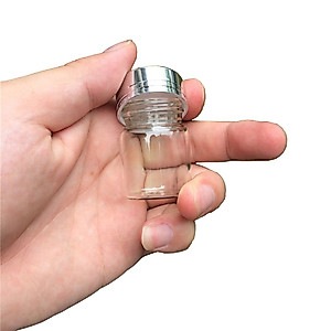 12units Glass Bottles Screw Top Empty Jars Vial 15ml Candy Vanilla Pill Food Perfume Bottle Metal Cap (12, 15ML-Silver Lid)