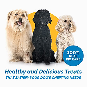 123 Treats Natural Pig Ears for Dogs, 100% Natural Long Lasting Pork Dog Chews, Ideal for All Chewers, Delicious and Healthy Dog Treats, Pig Ears Large and Mix (one Pack of 100)