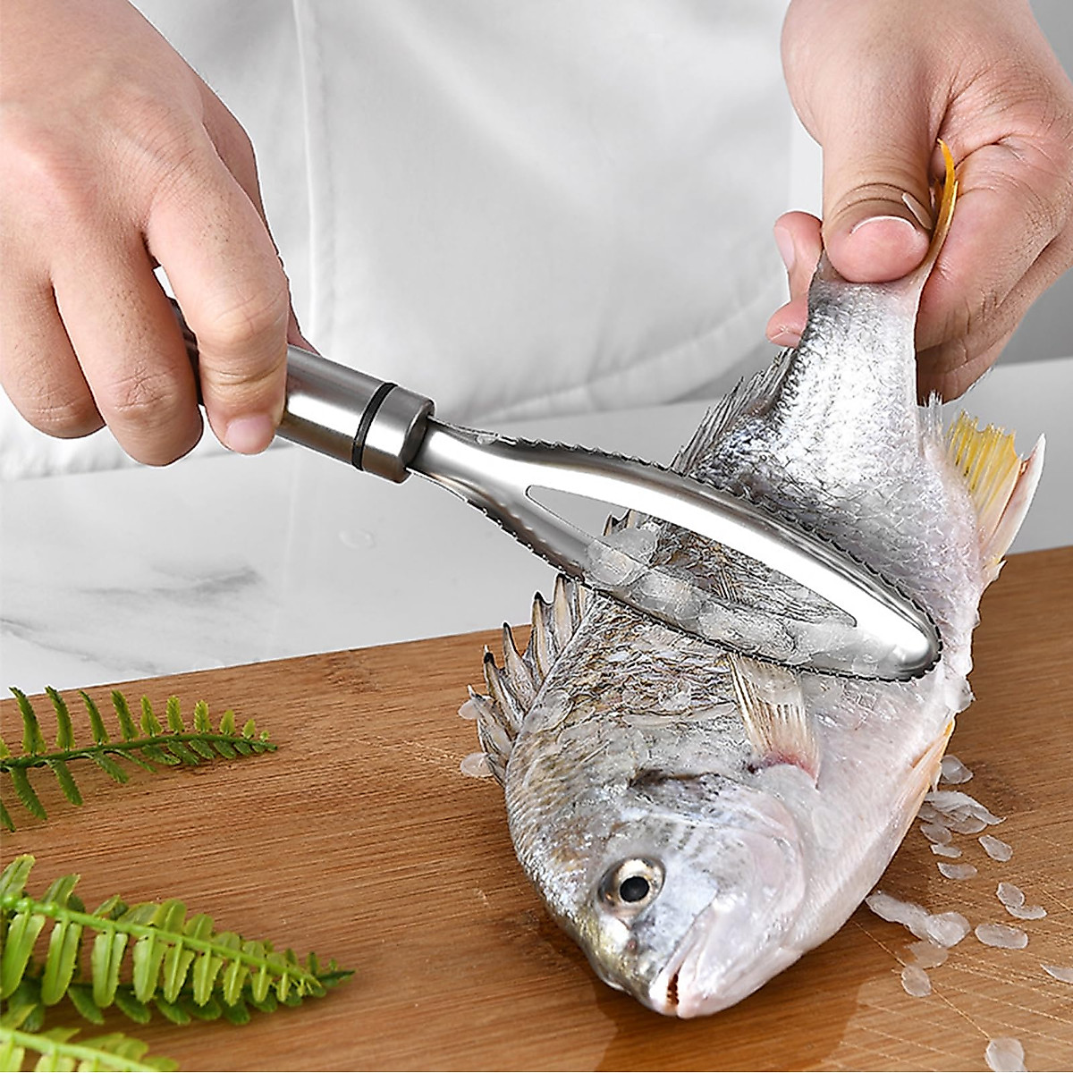 Fish Scale Removal Tool, Fish Scaler, Fish Scale Remover, Stainless Steel Fish Peeler Efficient Fish Descaler Tool Fish Scales Cleaning Brush for Chef and Home Cooks