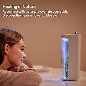 Mosslab Moss Air - Living Moss Humidifier | Aesthetic & Relaxing | Mindfulness & Meditation | Easy-Care Indoor Plants | Terrarium & Tabletop Decor | Mist Waterfall | Portable & Whisper-Quiet