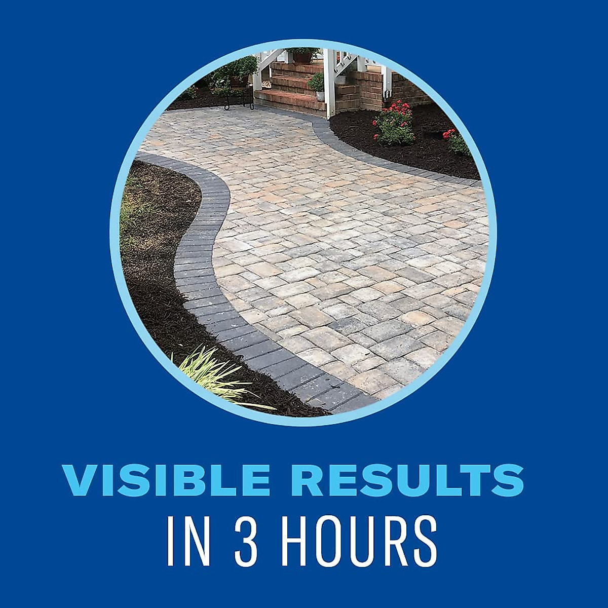 BioAdvanced Weed & Grass Killer, 64-Ounce, Super Concentrate