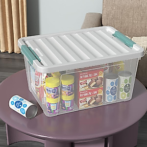 Readsky 36 Quart Plastic Clear Storage Bins, Large Lidded Boxes, 4-Pack