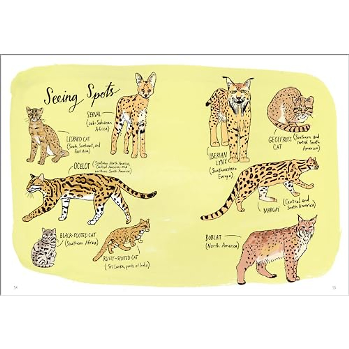 Wildlife Anatomy: The Curious Lives & Features of Wild Animals around the World