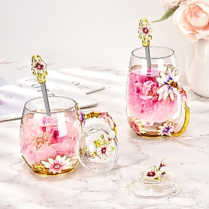 Wisolt Birthday Gifts for Women Mothers Day Gifts From Daughter Tea Mugs for Women Christmas Gifts for Mom Grandma Teacher Anniversary Valentines Glass Coffee Mug with Spoon Lid