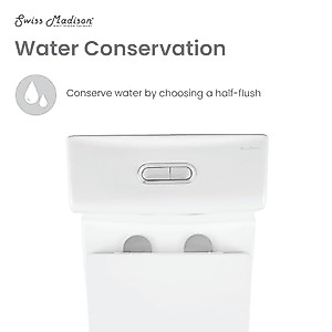 Hugo One Piece Elongated Dual Flush Toilet 1.1/1.6 gpf