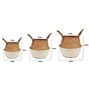 BlueMake Woven Seagrass Belly Basket for Storage, Laundry, Picnic, Plant Pot Cover, and Grocery and Toy Storage (Medium, Sand)