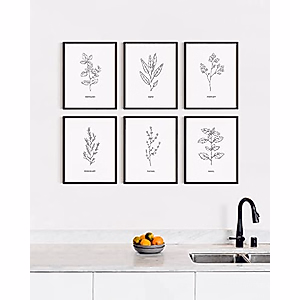 HAUS AND HUES Kitchen Herbs Wall Art Decor for Kitchen Herb Art Prints and Kitchen Signs Wall Decor | Herb Prints Kitchen Wall Art Kitchen Prints for Wall Herb Decor (8"X10" UNFRAMED)