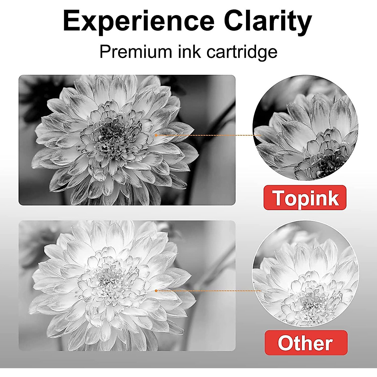 245 Ink Replacement for 245 XL Ink cartridges for Canon Printers Remanufactured Higher Yield Compatible with Canon Pixma MX490 MX492 MG2522 TS3100 TS3122 TS3300 TS3322 TS3320 TR4500 TR4520 Printer