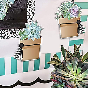 Schoolgirl Style Simply Stylish 36 Piece Potted Succulents Bulletin Board Cutouts, Succulent Plant Bulletin Board Decorations, Simply Greenery Classroom Décor