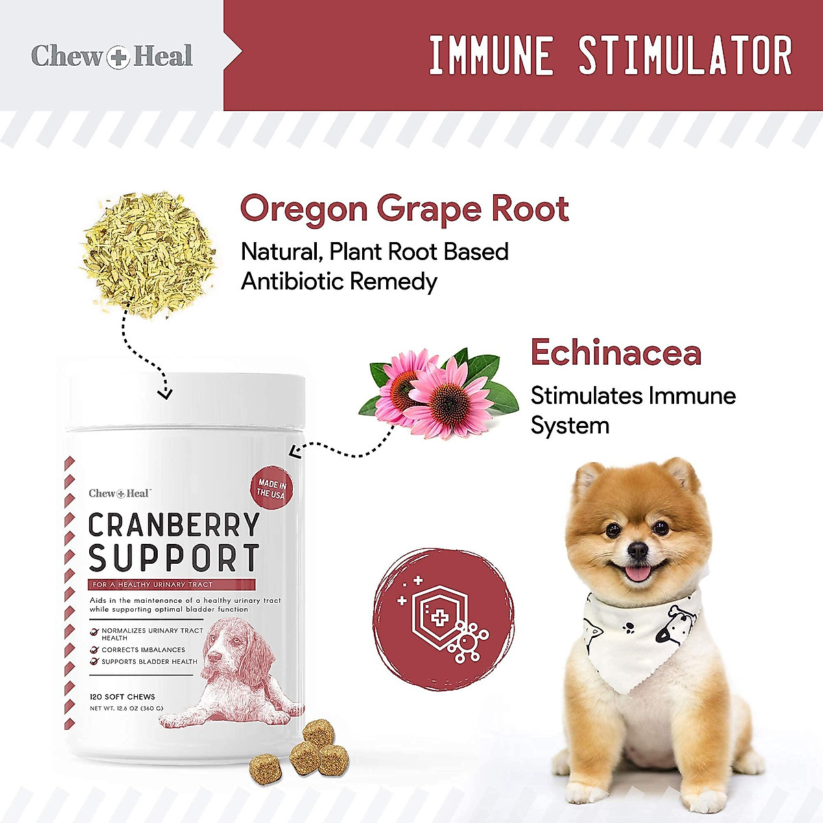 Digestive Enzymes and Probiotics and Cranberry UTI Support for Dogs - Supports Healthy Digestive Tract, Helps Nutrient Absorption - Healthy Urinary Tract and Bladder Function - 120 Soft Chews Each