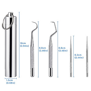 Worldity 5Pcs Reusable Toothpick, Portable Metal Toothpick, Professional Teeth Cleaning Tools, Dental Picks with Toothpick Holder and Key Ring for Travel Picnic Camping