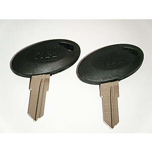 Bauer Camper Keys RV Keys Cut to Your Key Number from 301 to 330 Two Working ILCO Keys Trailer (302)