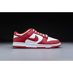 Nike Mens Dunk Low Retro DD1391 602 USC - Size 8.5