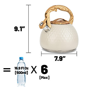 Zalnuuk Tea Kettle, Tea Pot with Cool Touch Ergonomic Handle, Tea Kettle Food Grade Stainless Steel, Tea Kettle Stovetop, Kettle Teapot, Whistling Tea Kettle, Small Tea Kettle, 3.2 Quart