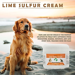 Healthy Paw Life Lime Sulfur Pet Skin Cream (4 oz) - Pet Care for Itchy and Dry Skin - Safe Solution for Dog, Cat, Puppy, Kitten, Horse