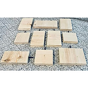 10 Piece Kiln Dried Pine Wood Ledges, Platfrom, Steps for Chinchillas, Rats, Birds and Caged Critters. Chinchilla Cage Accessories.