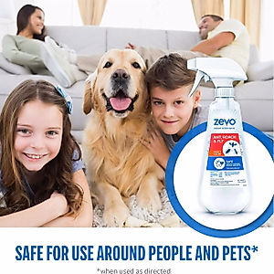 Zevo Multi Insect Killer Spray, Ant, Roach & Fly Bug Spray, Twin Pack