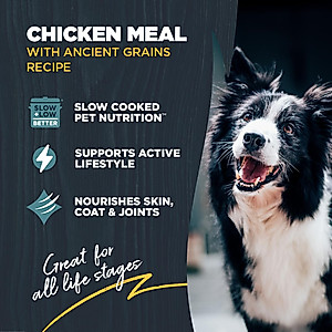 Blackwood Puppy & Performance Dry Dog Food, Chicken Meal with Ancient Grains, 4.5 Pound Bag for Growing & Working Dogs, Supports Active Lifestyle