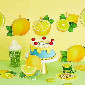 4 Pcs Lemon Banner Citrus Lemonade Party Sign Lemon Party Decorations Yellow Lime Birthday Decorations for Boy Girl Baby Kids DIY First Bday Bridal Kitchen Shower Theme Decor