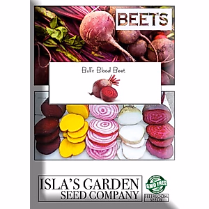 Bull's Blood Beet Seeds for Planting, 100+ Heirloom Seeds Per Packet, (Isla's Garden Seeds), Non GMO Seeds, Botanical Name: Beta vulgaris, Great Home Garden Gift