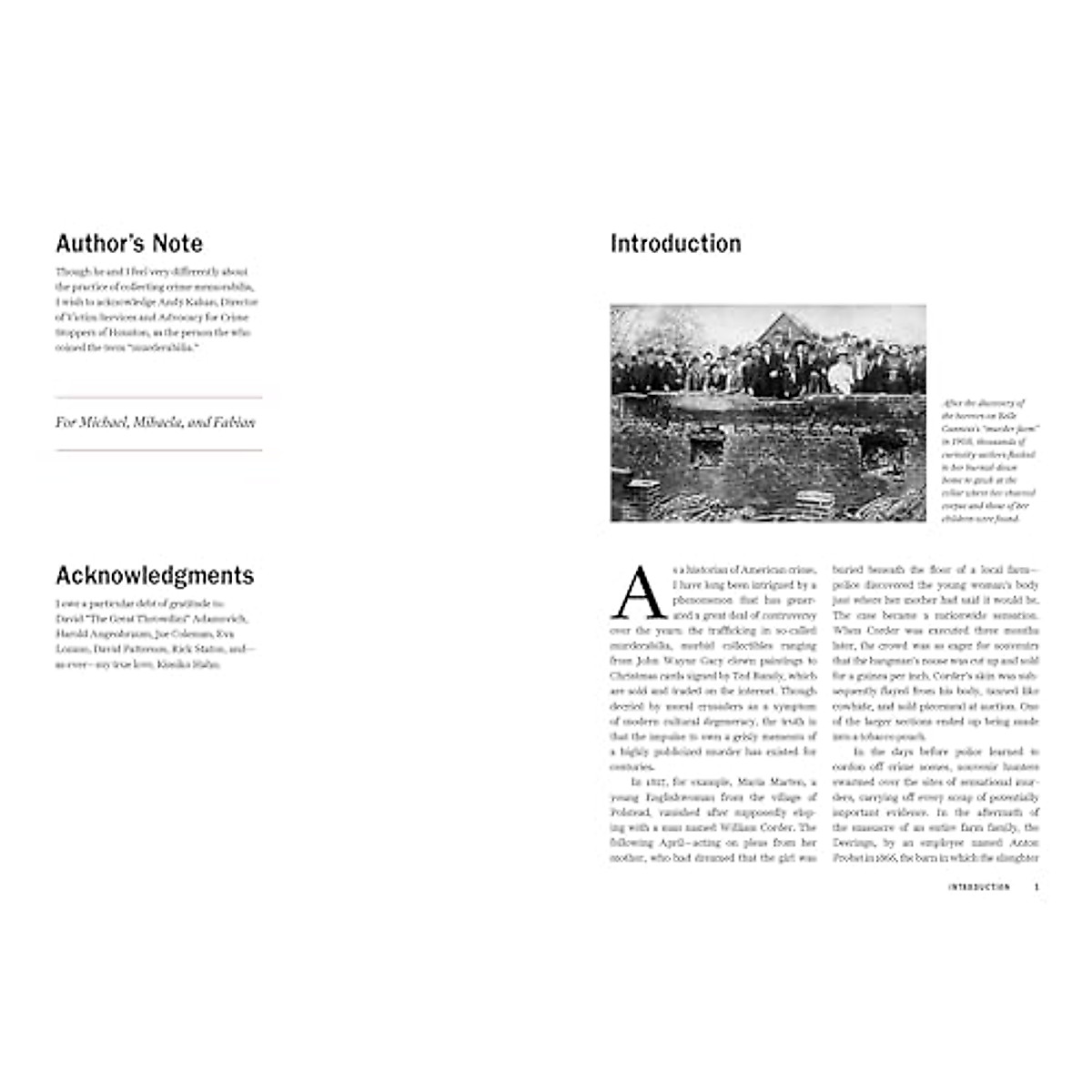 Murderabilia: A History of Crime in 100 Objects