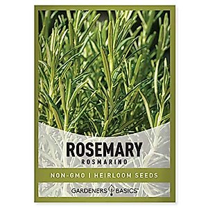 Rosemary Seeds for Planting - It is A Great Heirloom, Non-GMO Herb Variety- Great for Indoor and Outdoor Gardening by Gardeners Basics