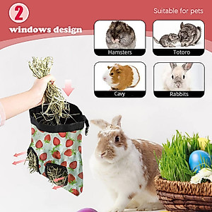 YOLAGGOY Small Animal Hay Feeder, 2 Holes Hanging Rabbit Hay Feeder Bag for Rabbit Small Animal Chinchilla with 1 Grind Teeth Stone(Strawberry)