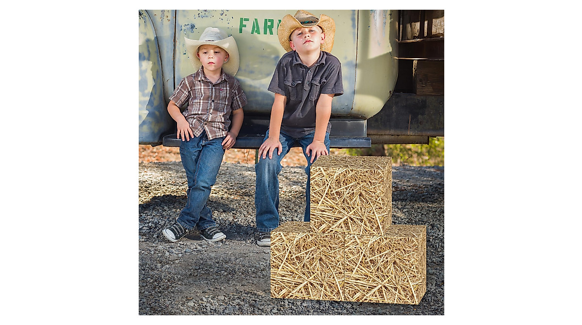 6PC Hay Bales Boxes for Western & Farm Party Decor