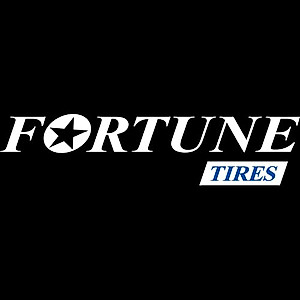 Fortune Viento FSR702 205/45R16 87W XL BSW